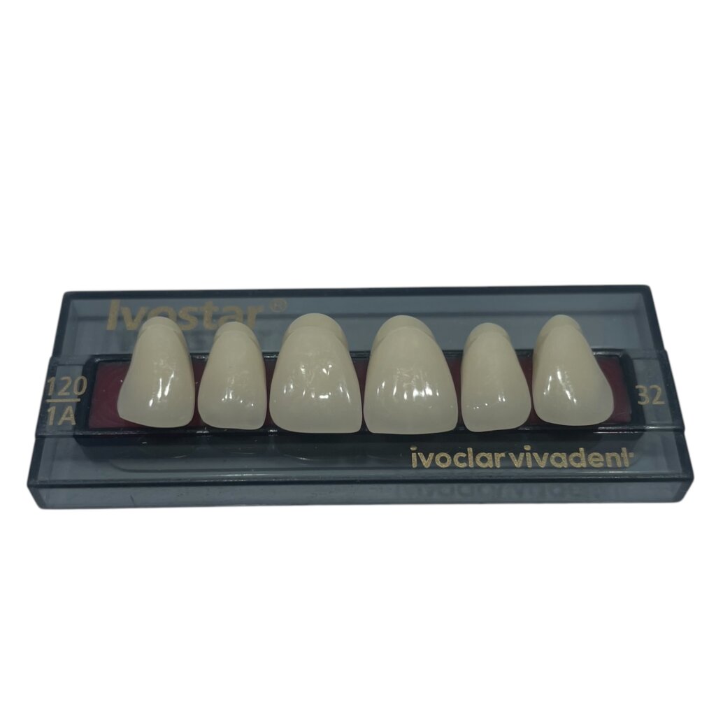 Dientes en Acrilico Ivostar – Rapident